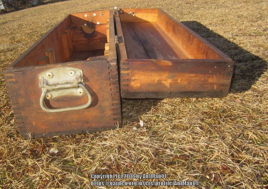 Mark's Semp Planter Project 2018 in the Sempervivum forum - Garden.org