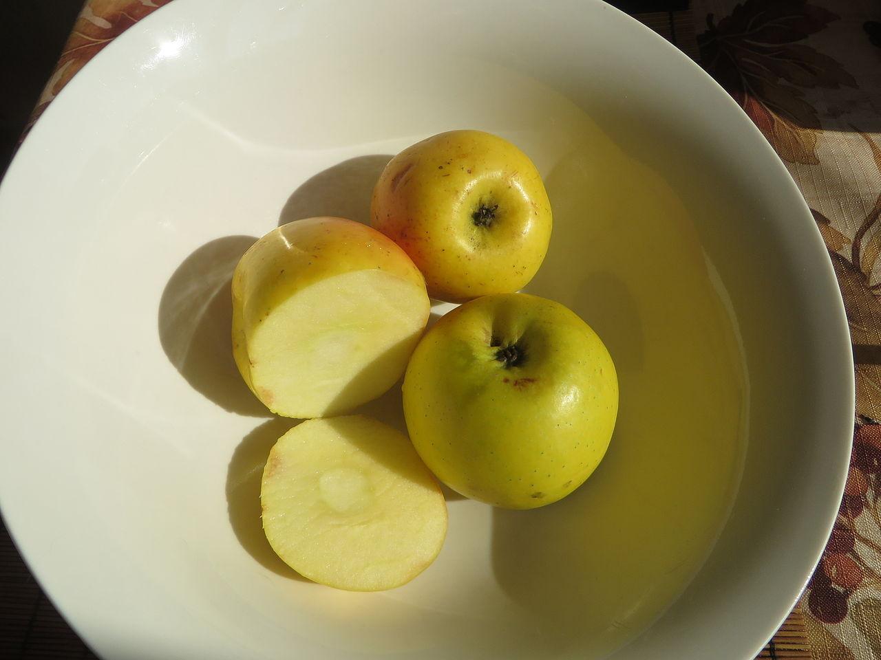 Apple (Malus domestica 'Reinette Simirenko') in the Apples Database ...