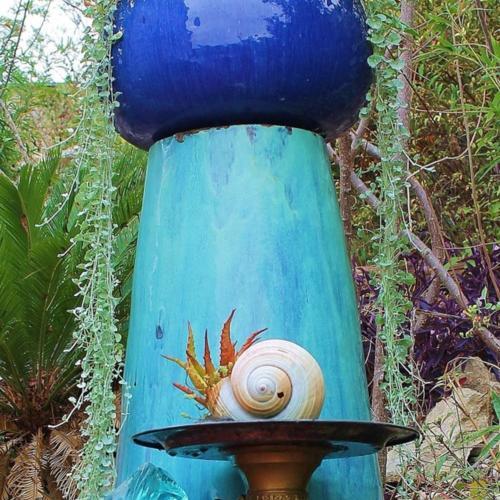 Silver Ponyfoot (Dichondra argentea) - Garden.org
