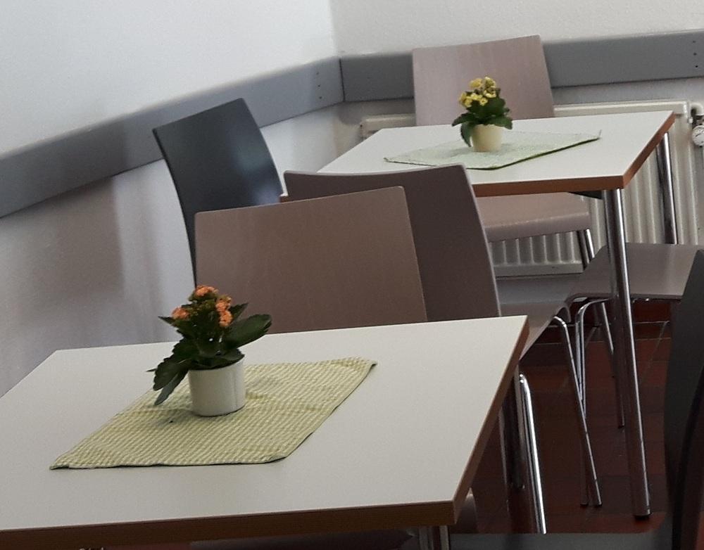 Flowers on the table in the Plant ID forum - Garden.org