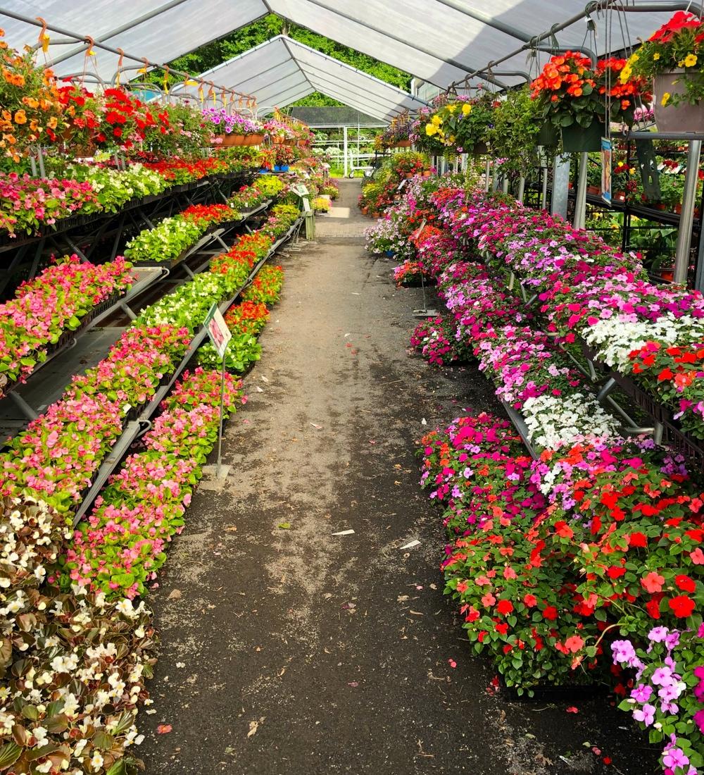 The Green Pages: Morganville Flower Farm - Garden.org