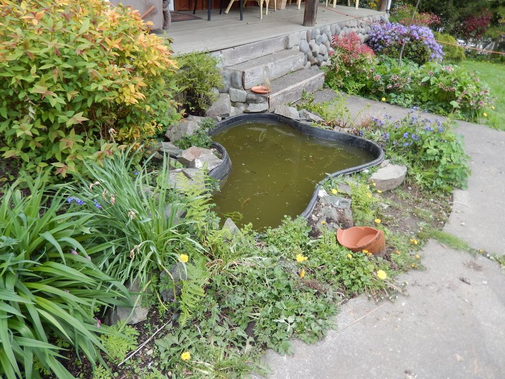 How to make a disappearing fountain in the Ponds and Water Gardening ...