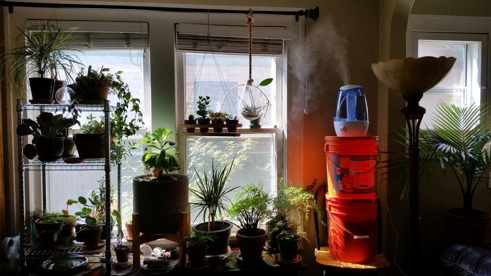 Question about artificial humidity in 5b zone (Denver) in the Ask a ...