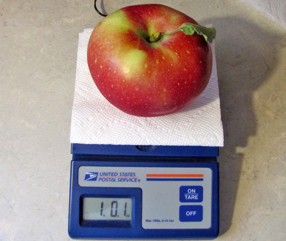 Apples: Plant Care and Collection of Varieties - Garden.org