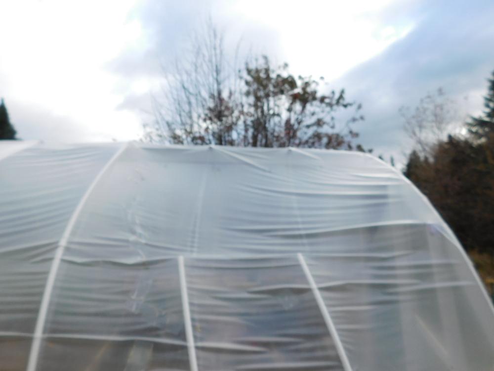 Hurricane damage (greenhouse) in the Northeast Gardening forum - Garden.org