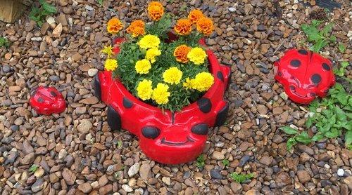 Ladybug Flower pot in Gift Ideas for Gardeners - Garden.org