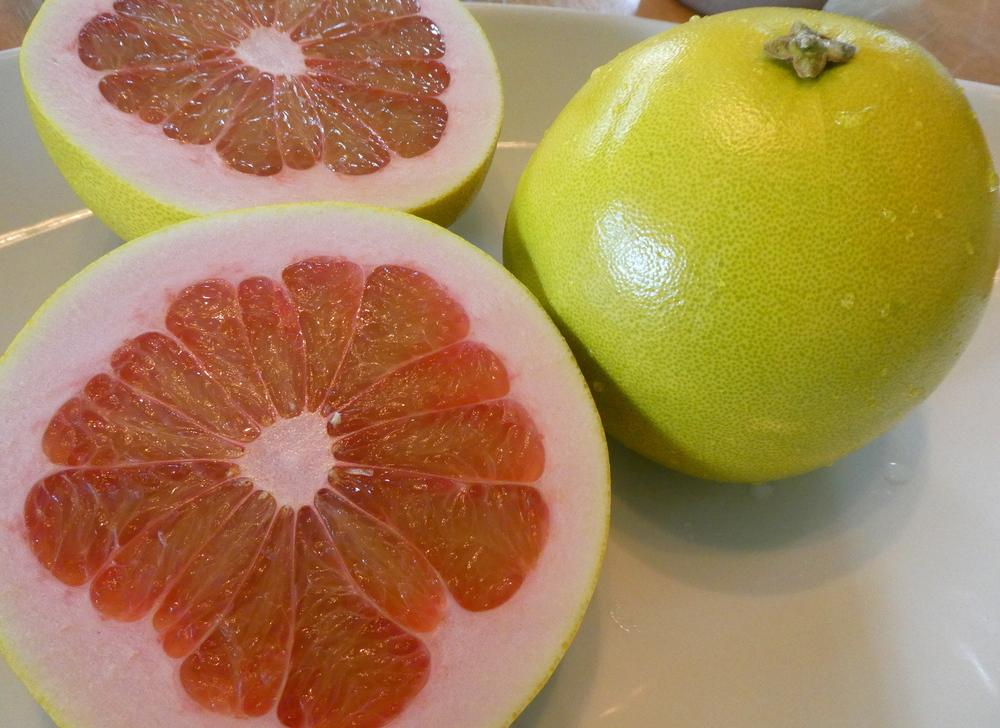 Citrus Fruits: Plant Care and Collection of Varieties - Garden.org