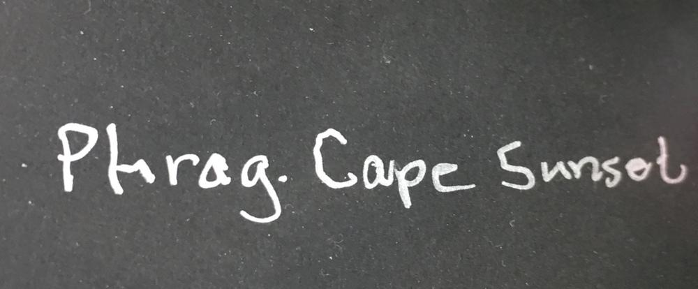 Phrag. Cape Sunset in the Plant Database forum - Garden.org