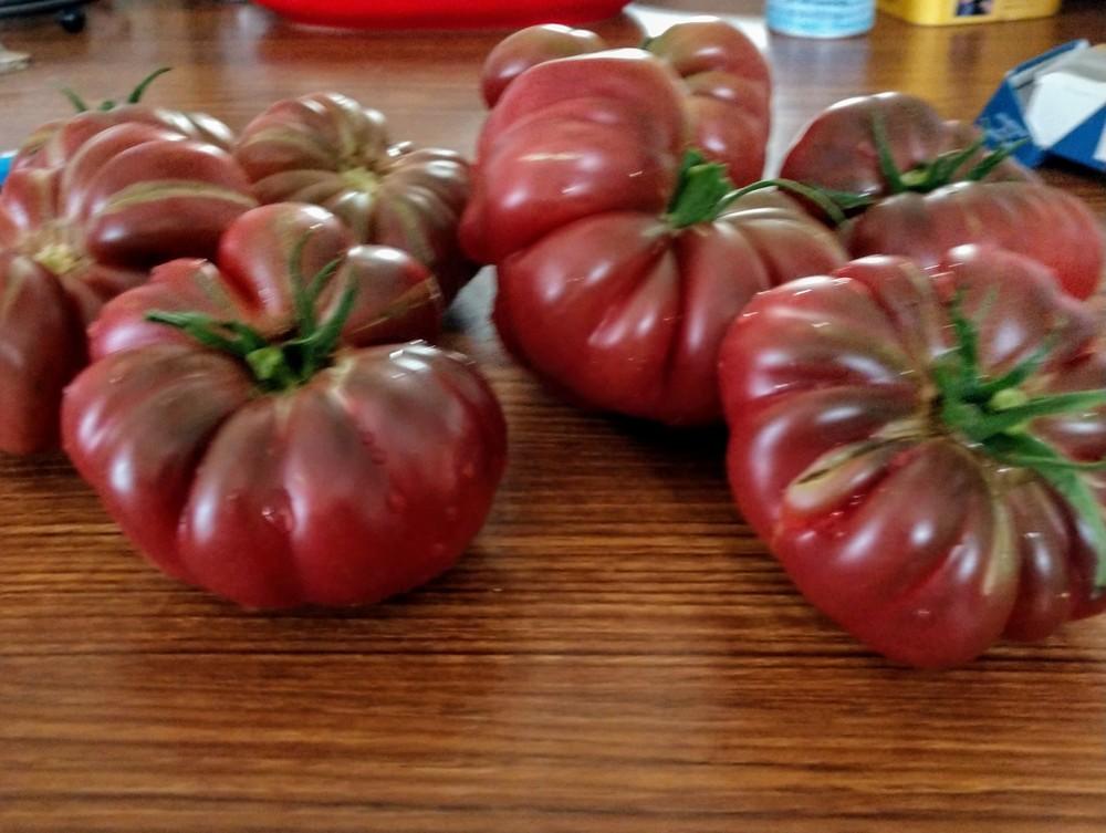 Tim's Black Ruffles in the Vegetables and Fruit forum - Garden.org