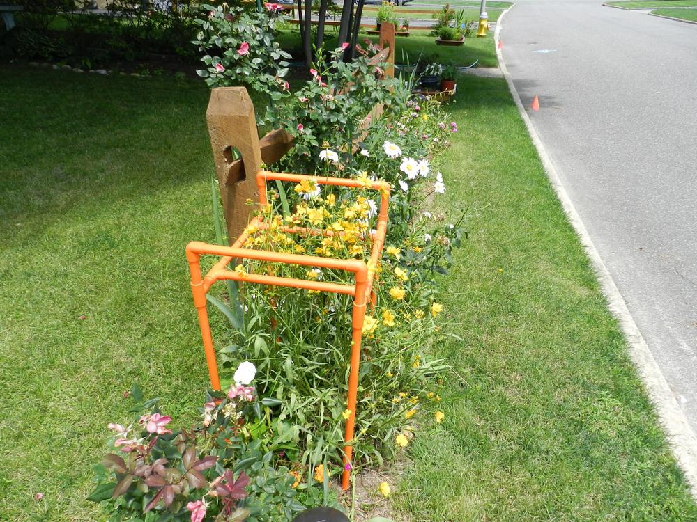 Pictures of the prettiest/easiest ways you've found to support peonies ...