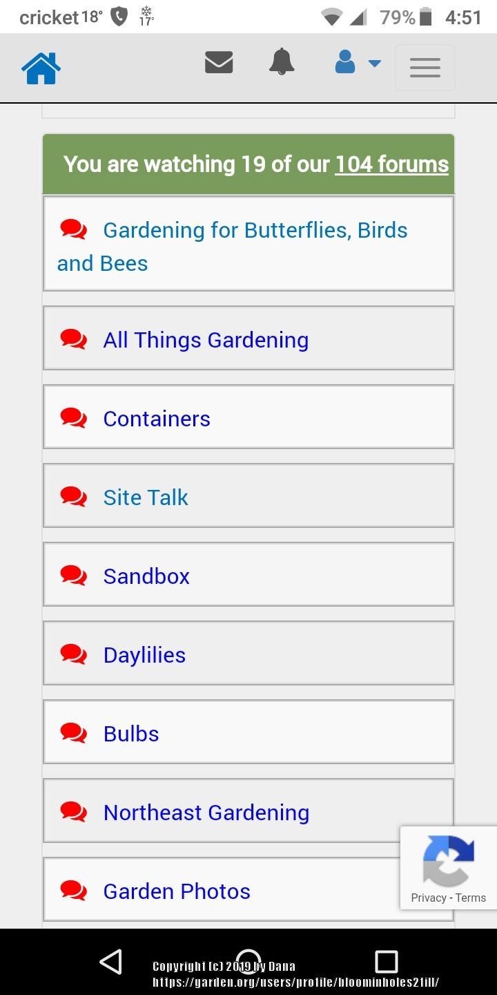 Google Privacy Pop-up in the Site Talk forum - Garden.org
