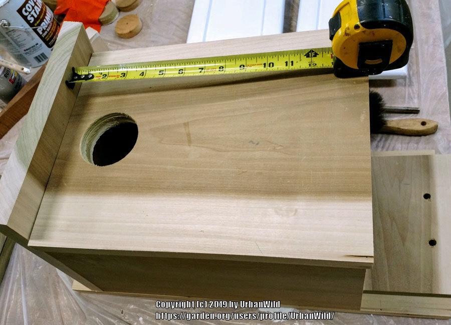 screech owl/kestrel/flicker nest boxes in the Gardening for Butterflies ...