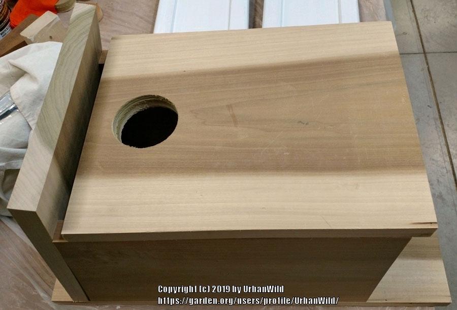 screech owl/kestrel/flicker nest boxes in the Gardening for Butterflies ...