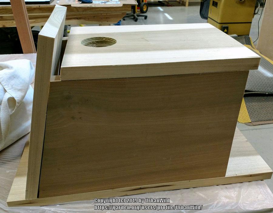 screech owl/kestrel/flicker nest boxes in the Gardening for Butterflies ...