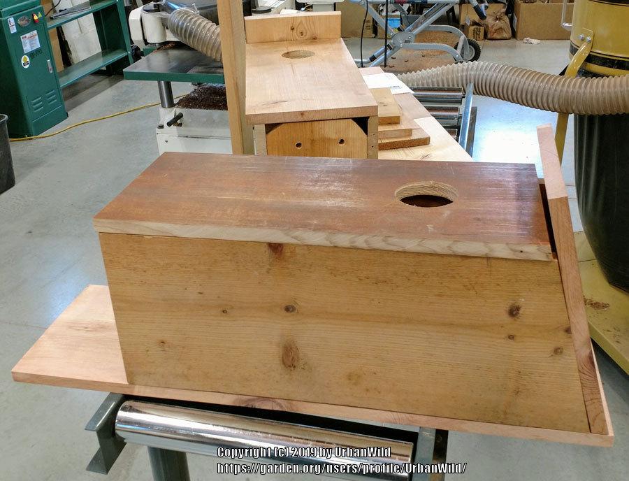 screech owl/kestrel/flicker nest boxes in the Gardening for Butterflies ...