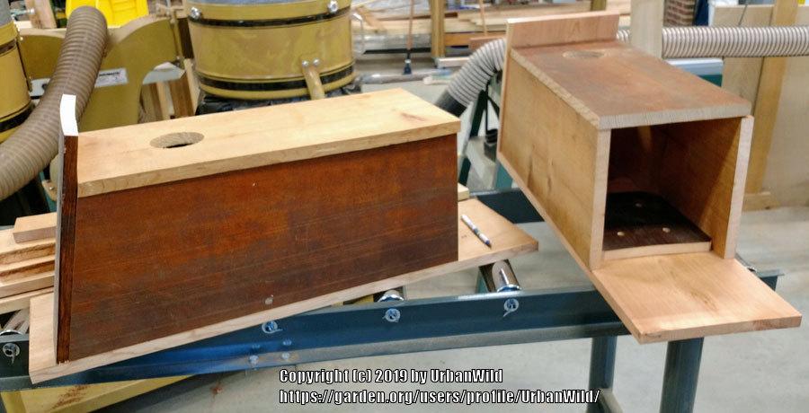 screech owl/kestrel/flicker nest boxes in the Gardening for Butterflies ...