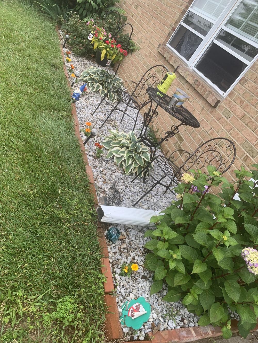 Looking for advice on perennials and annuals in shade and full sun area ...