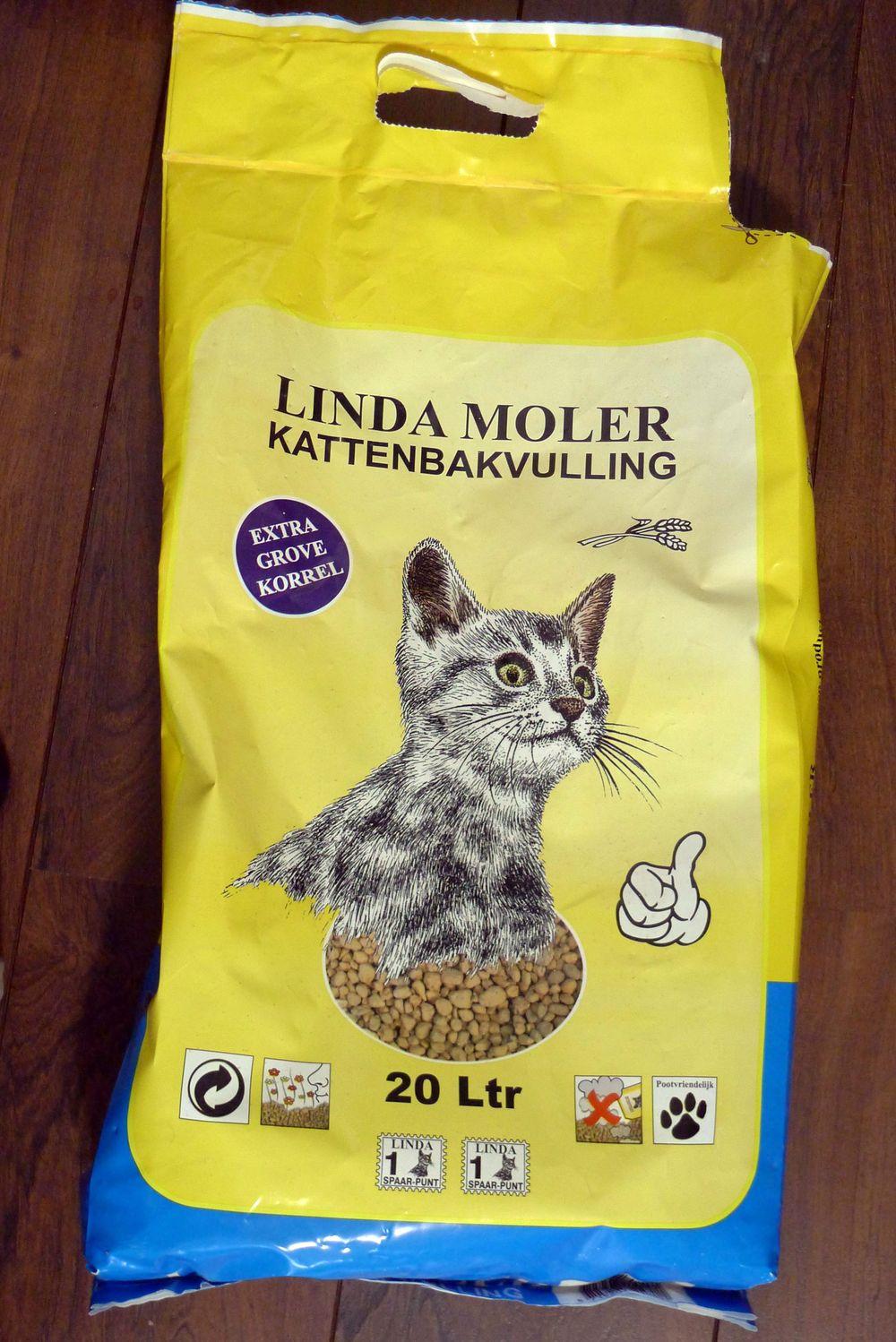 Experiments with moler clay (terramol) in the Philodendrons, Elephant ...