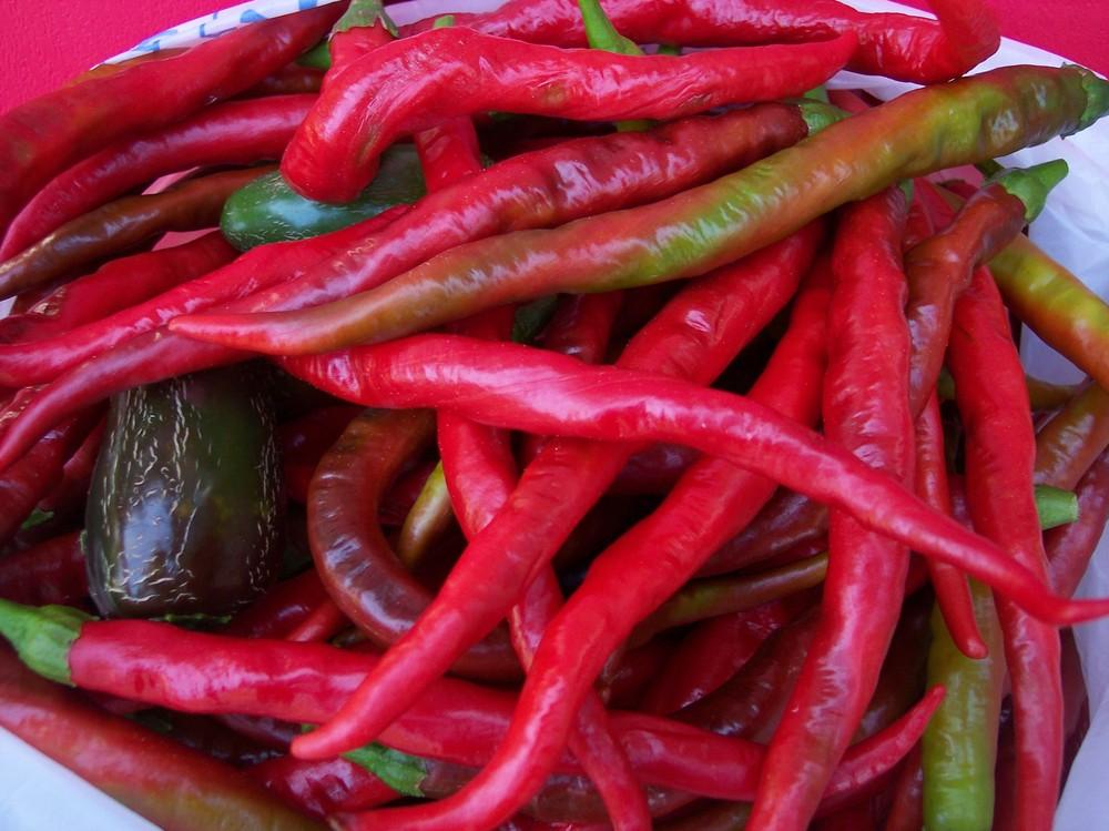 Hot pepper (Capsicum annuum 'Witch Stick') in the Peppers Database ...