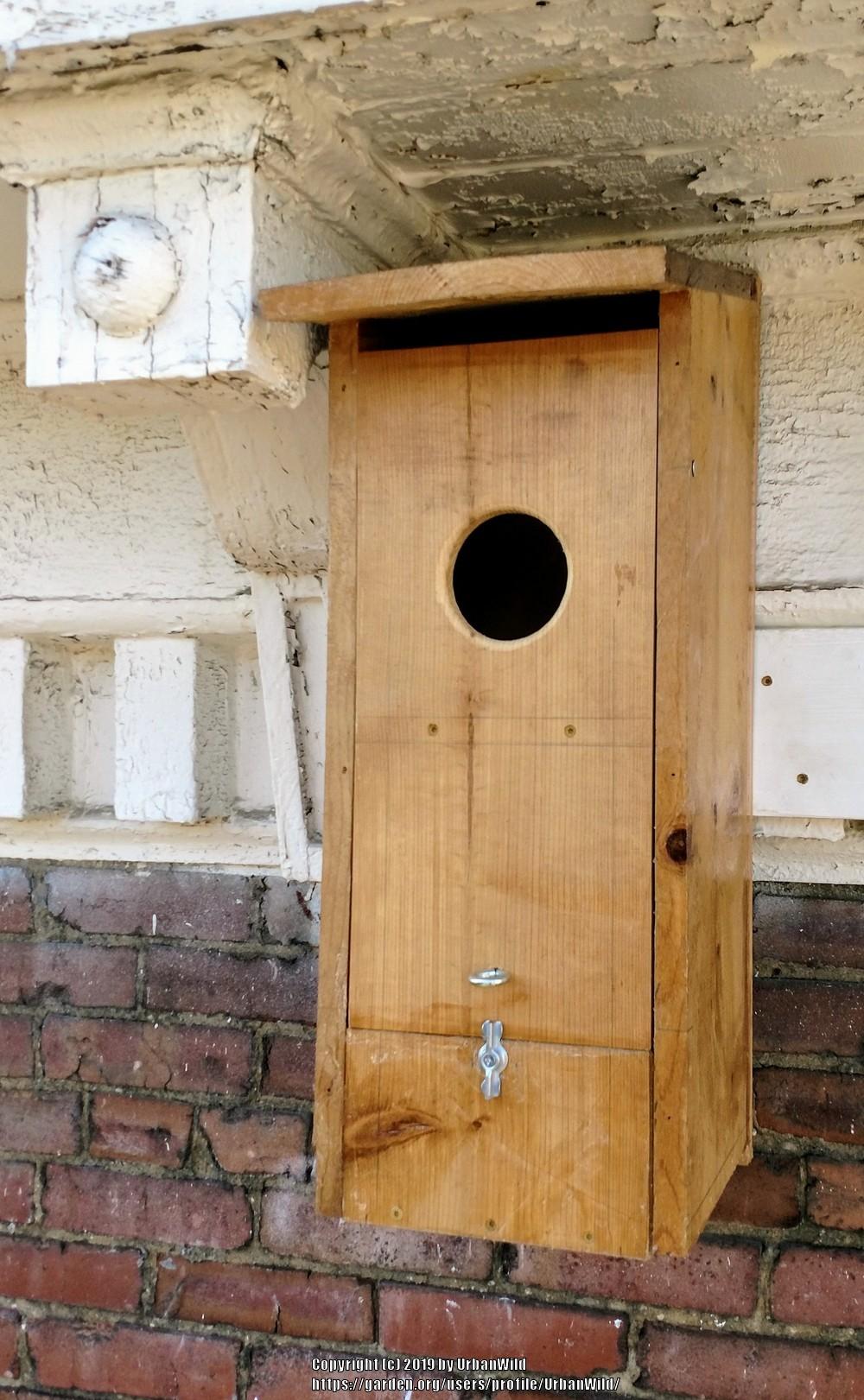 screech owl/kestrel/flicker nest boxes in the Gardening for Butterflies ...