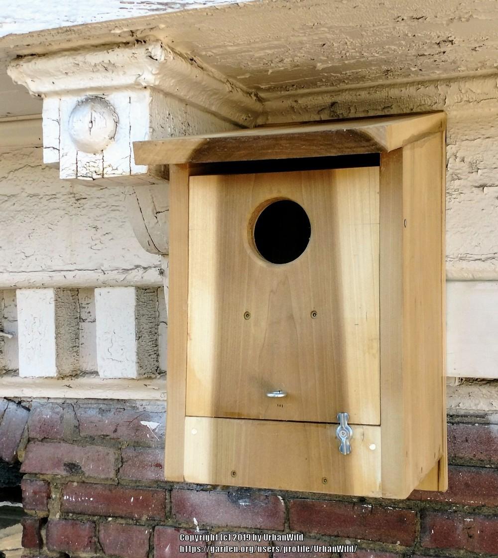 screech owl/kestrel/flicker nest boxes in the Gardening for Butterflies ...