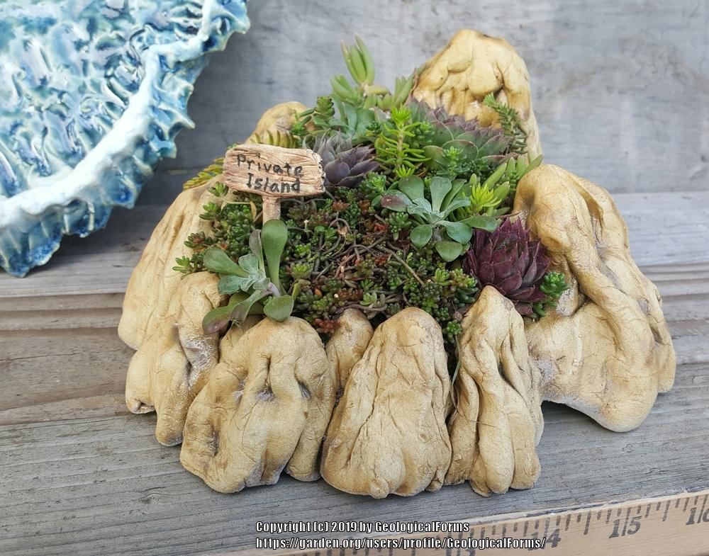 "Geological Forms": Handsculpted Ceramic Planters in the Classifieds ...