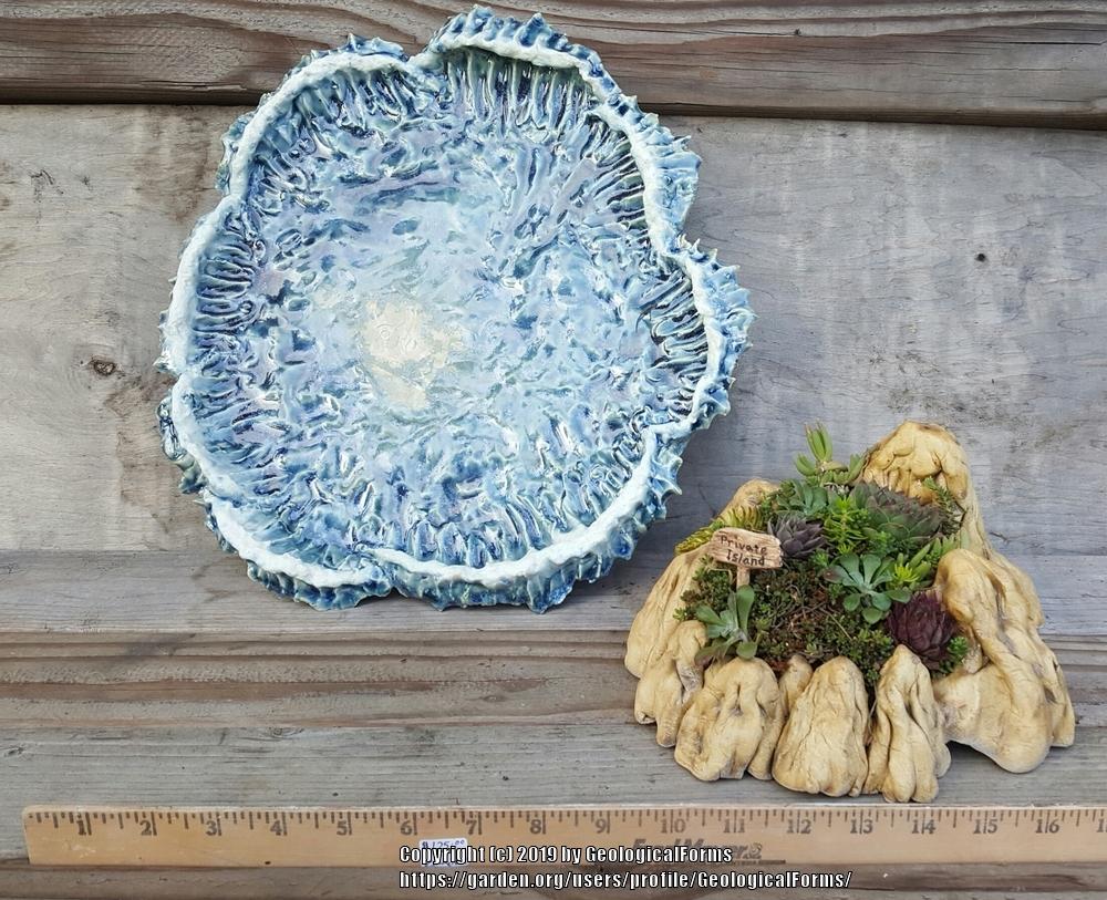 "Geological Forms": Handsculpted Ceramic Planters in the Classifieds ...