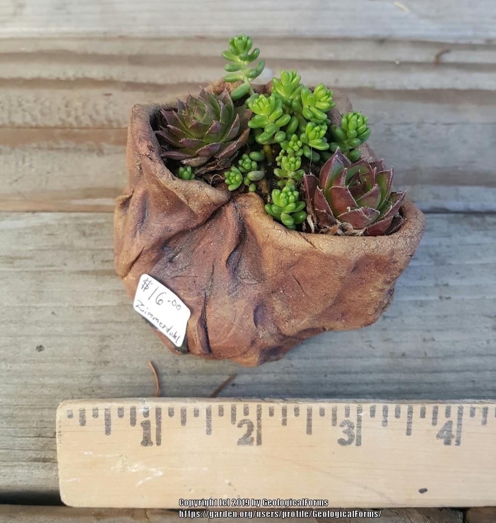 "Geological Forms": Handsculpted Ceramic Planters in the Classifieds ...