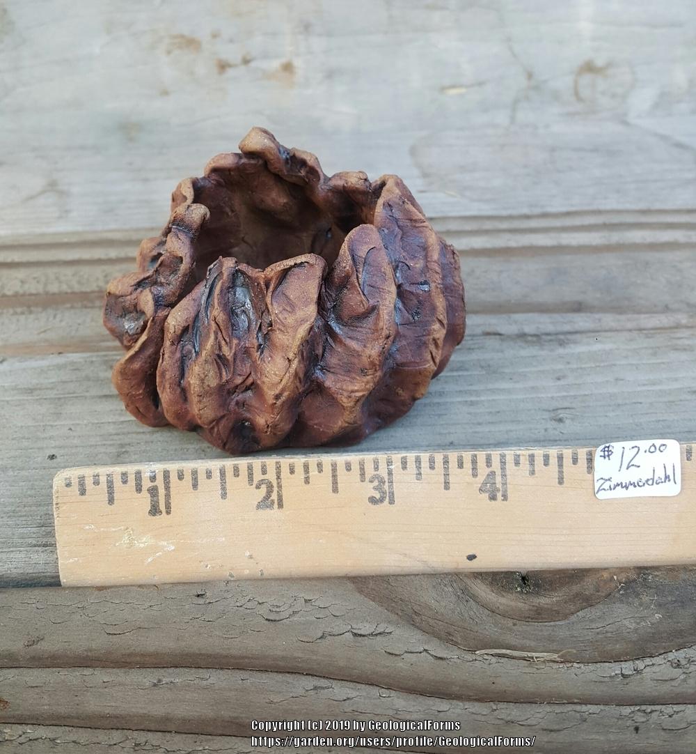 "Geological Forms": Handsculpted Ceramic Planters in the Classifieds ...