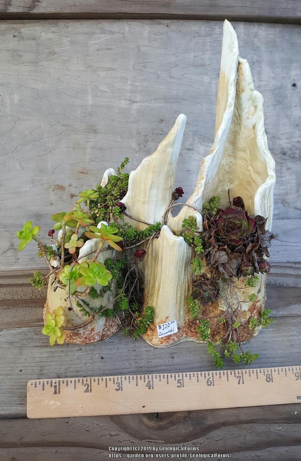"Geological Forms": Handsculpted Ceramic Planters in the Classifieds ...