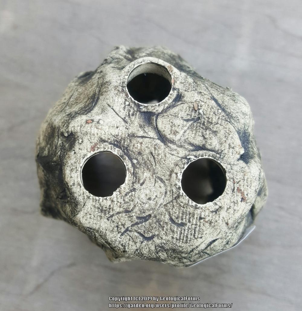 "Geological Forms": Handsculpted Ceramic Planters in the Classifieds ...