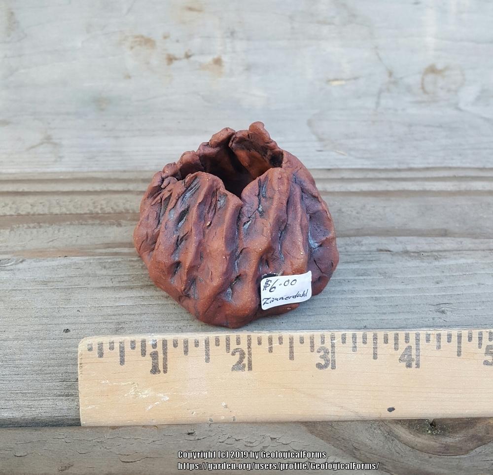 "Geological Forms": Handsculpted Ceramic Planters in the Classifieds ...