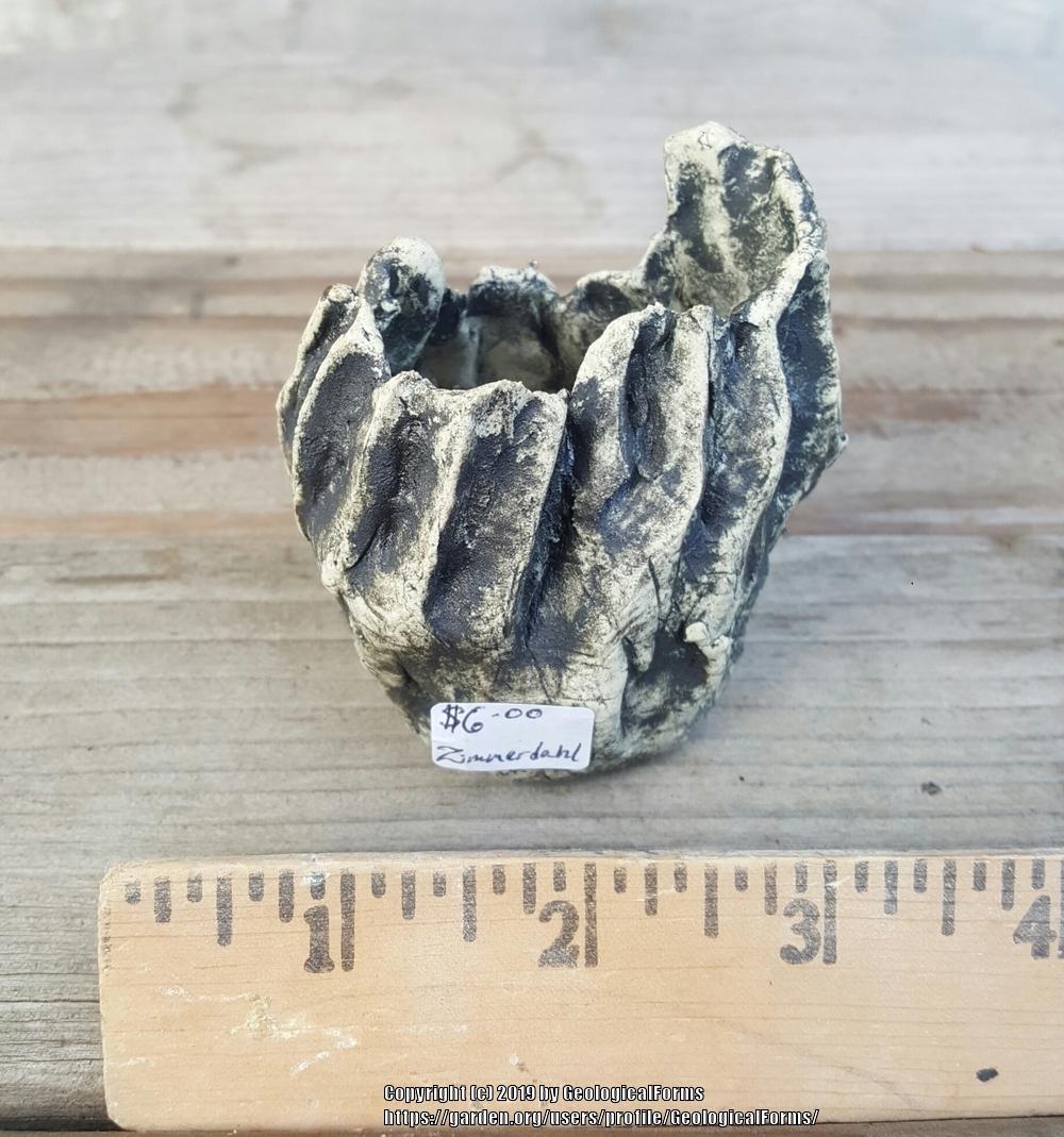 "Geological Forms": Handsculpted Ceramic Planters in the Classifieds ...