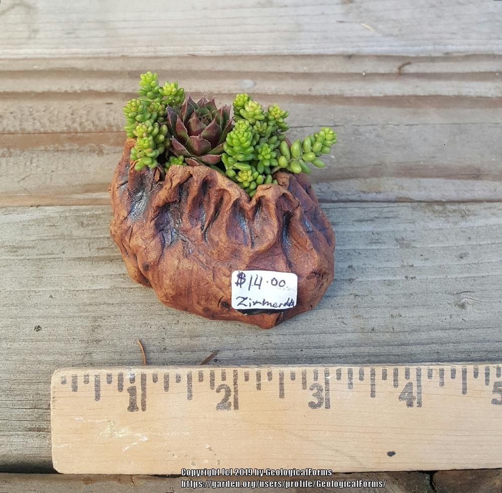 "Geological Forms": Handsculpted Ceramic Planters in the Classifieds ...