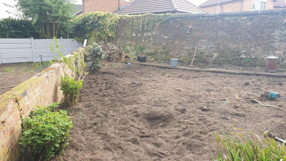 Clean Sandstone wall in the Ask a Question forum - Garden.org