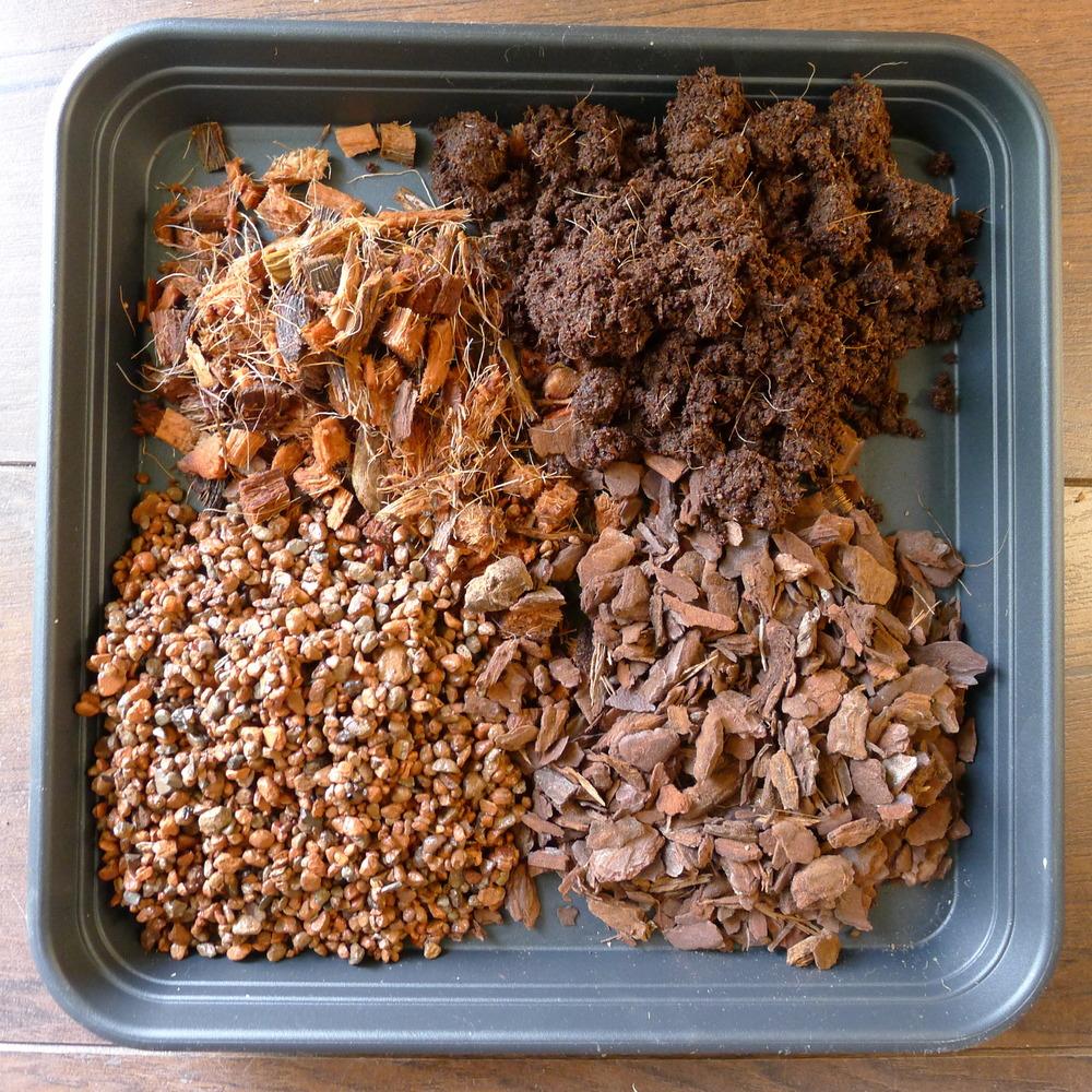 Experiments with moler clay (terramol) in the Philodendrons, Elephant ...