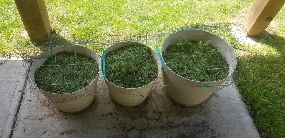 PVC frames for shade cloth or bird netting in the Garden Structures ...