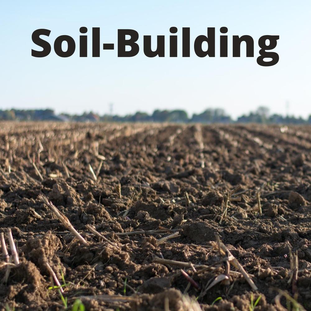 Fall Soil-Building - Garden.org