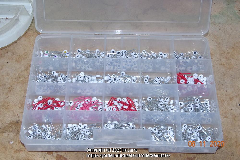 Collecting dl seeds, what is your process? in the Daylilies forum ...