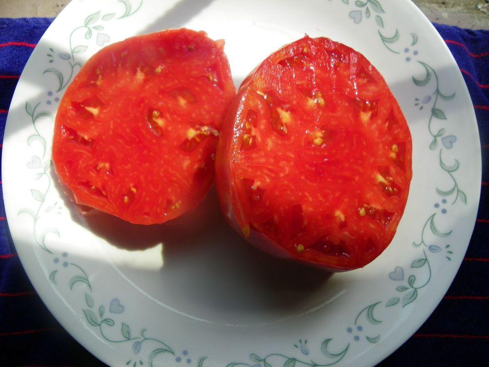 Tomato (Solanum lycopersicum 'Chef's Choice Pink') in the Tomatoes ...