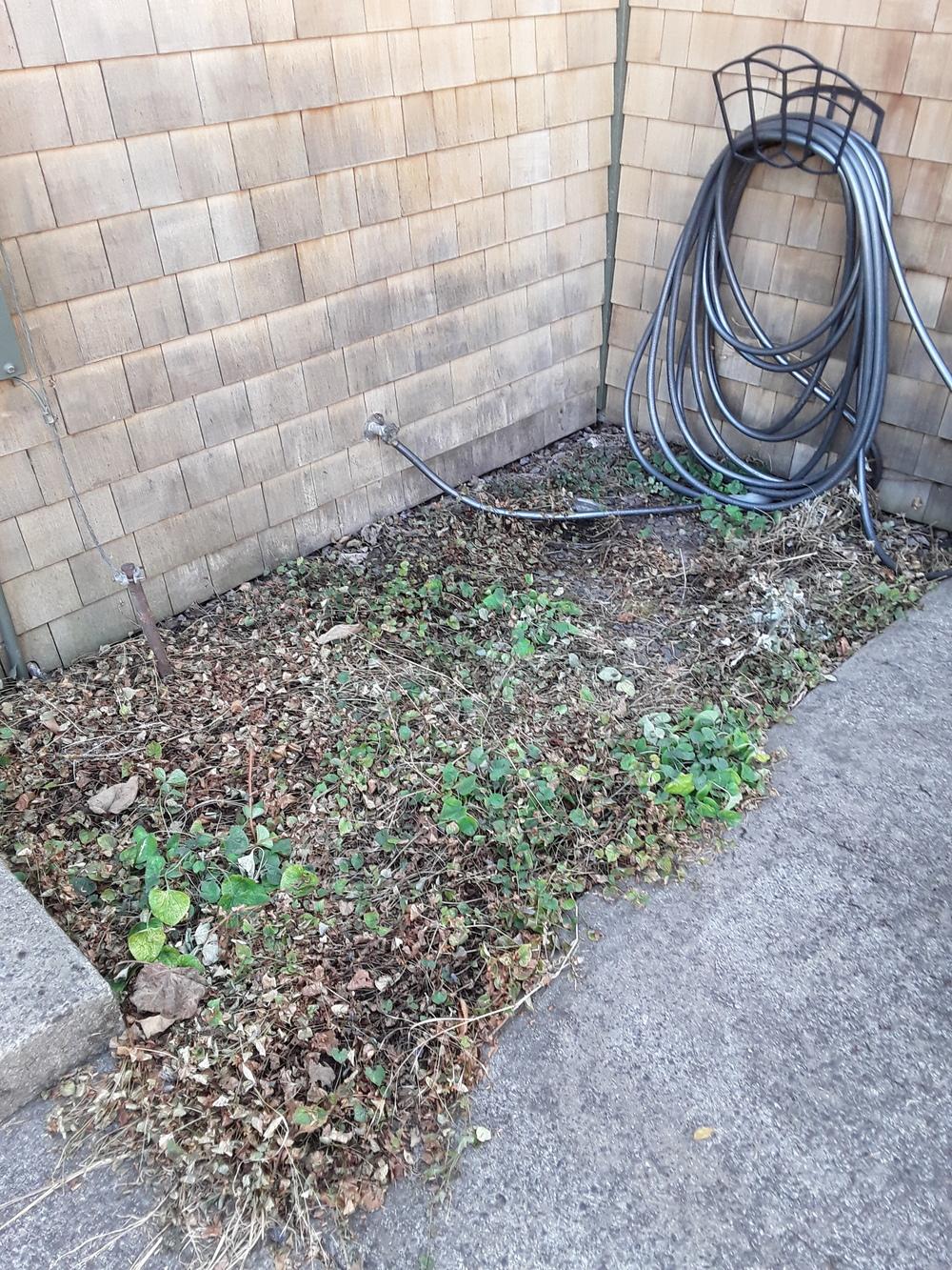 Planting in inhospitable conditions in the Ask a Question forum ...