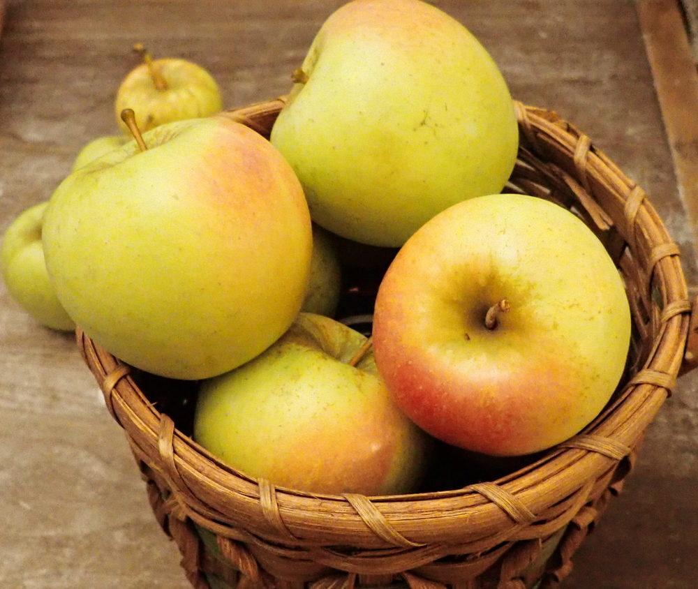 Apple (Malus domestica Suncrisp™) in the Apples Database - Garden.org