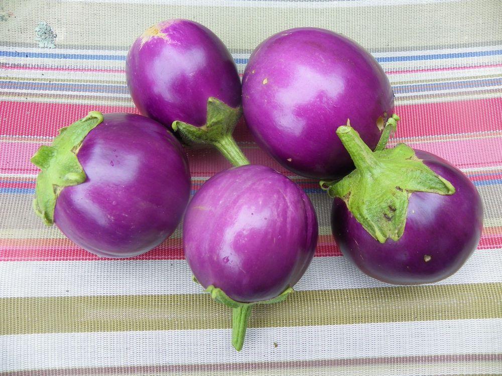 Photo of the fruit of Eggplant (Solanum melongena 'Southern Pink ...