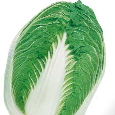 Chinese Cabbage (Brassica rapa subsp. pekinensis 'Blues') in the ...