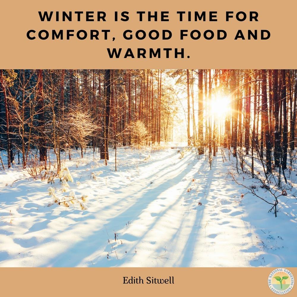 Newsletter for December 3rd, 2022