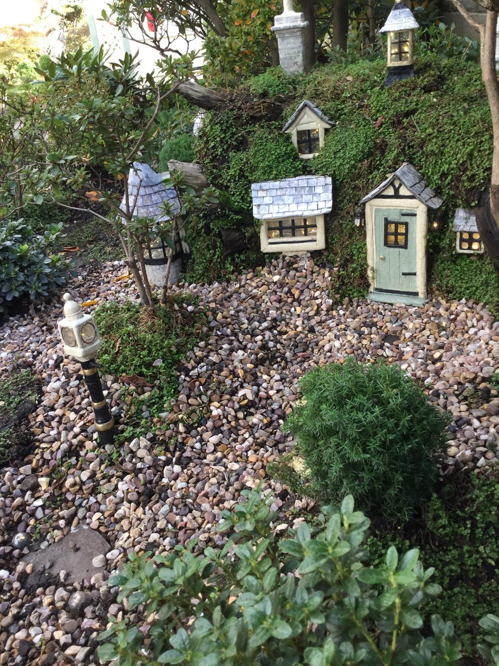 Image in Plant Combination #11847 - Garden.org