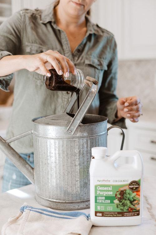 Pre-Digested Organic Fertilizers vs Traditional Fertilizer: What's the ...