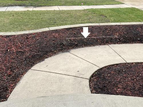 How to replace mulch with flowers and rocks in the All Things Gardening ...