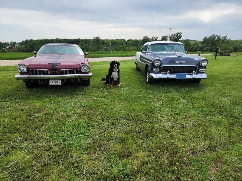 Pet Love 2022 in the Sandbox forum - Garden.org