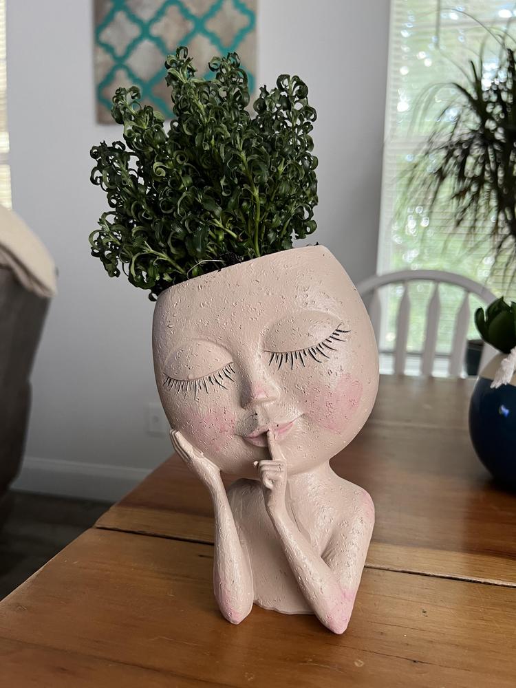 Photo of the entire plant of Alternanthera ficoidea 'Christmas Tree' posted by Mccare - Garden.org